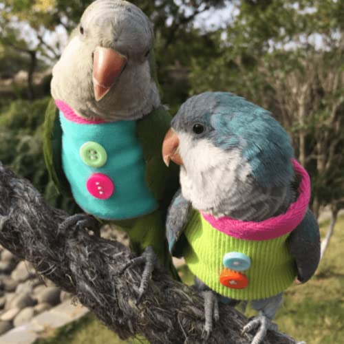 Barn Eleven Parrot Bird Supplies, Light Flying Clothes, Suitable for All Seasons Warm and Comfortable for Small Medium Large Bird Green Cheek Parrot Mynah Senegal Parrot Mini Macaw (Small,Green)