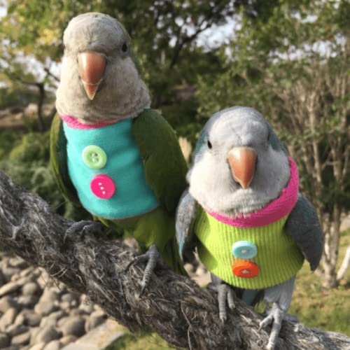 Barn Eleven Parrot Bird Supplies, Light Flying Clothes, Suitable for All Seasons Warm and Comfortable for Small Medium Large Bird Green Cheek Parrot Mynah Senegal Parrot Mini Macaw (Small,Green)