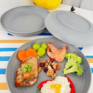 KITWILD Wheat Straw Plates, Unbreakable Dinner Plates, Lightweight Plastic Plates Reusable Plates Set, BPA free, Dishwasher & Microwave Safe, Perfect for Dinner Dishes (4 Pack, Gray)