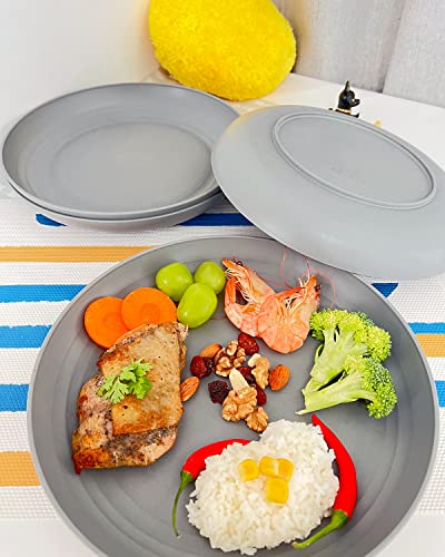 KITWILD Wheat Straw Plates, Unbreakable Dinner Plates, Lightweight Plastic Plates Reusable Plates Set, BPA free, Dishwasher & Microwave Safe, Perfect for Dinner Dishes (4 Pack, Gray)