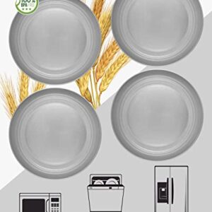 KITWILD Wheat Straw Plates, Unbreakable Dinner Plates, Lightweight Plastic Plates Reusable Plates Set, BPA free, Dishwasher & Microwave Safe, Perfect for Dinner Dishes (4 Pack, Gray)