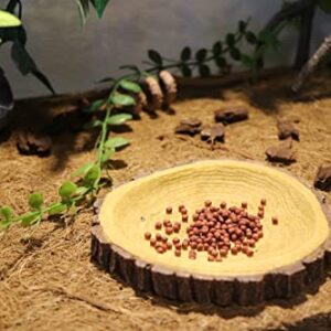 AQUA KT Reptile Corner Water Dish Food Feeding Bowl for Snake Lizard Bearded Dragon Turtle Feed and Terrarium Habitat Cage Decoration