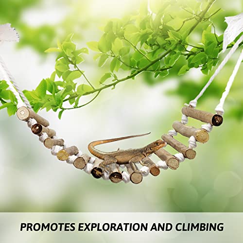 Hamiledyi Gecko Ladder Bridge, 2 PCS Wooden Reptile Ladders Hanging Bearded Dragon Rope Bridge Hermit Crab Climbing Toys Terrarium Accessories for Chameleons Turtle Lizard Frog