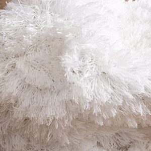 Super Area Rugs 2x4 Soft Modern Shaggy Rug for Living Room Bedroom Bathroom, Spa White 2' x 4'