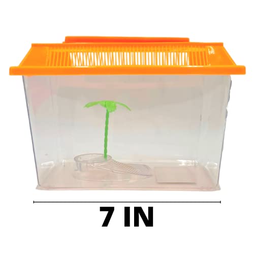 Mini Neon Plastic Reptile Carrier, Small Terrariums for Hermit Crabs, Lizards, and More with Palm Tree Accessory, Crab Hunting Supplies, Color May Vary, 7 Inches