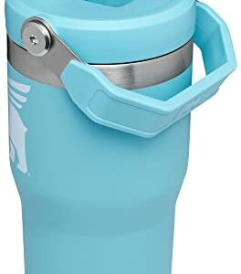 Stanley Classic IceFlow Flip Straw Tumbler for Kids (8 or Above), 20oz, Stan the Bear Stainless Steel Tumbler with Double-Wall Vacuum Insulation