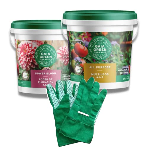 Gaia Green Bundle 2-8-4 Power Bloom and 4-4-4 All Purpose Organic Fertilizer Plant nutrients (2kg tubs) and a Pair of TOSSI Gardening Gloves