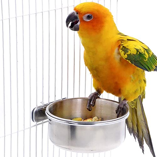 Bird Water Bowl Stainless Steel Bird Feeder for Cockatiel Conure Parakeet Chinchilla 10 Ounce