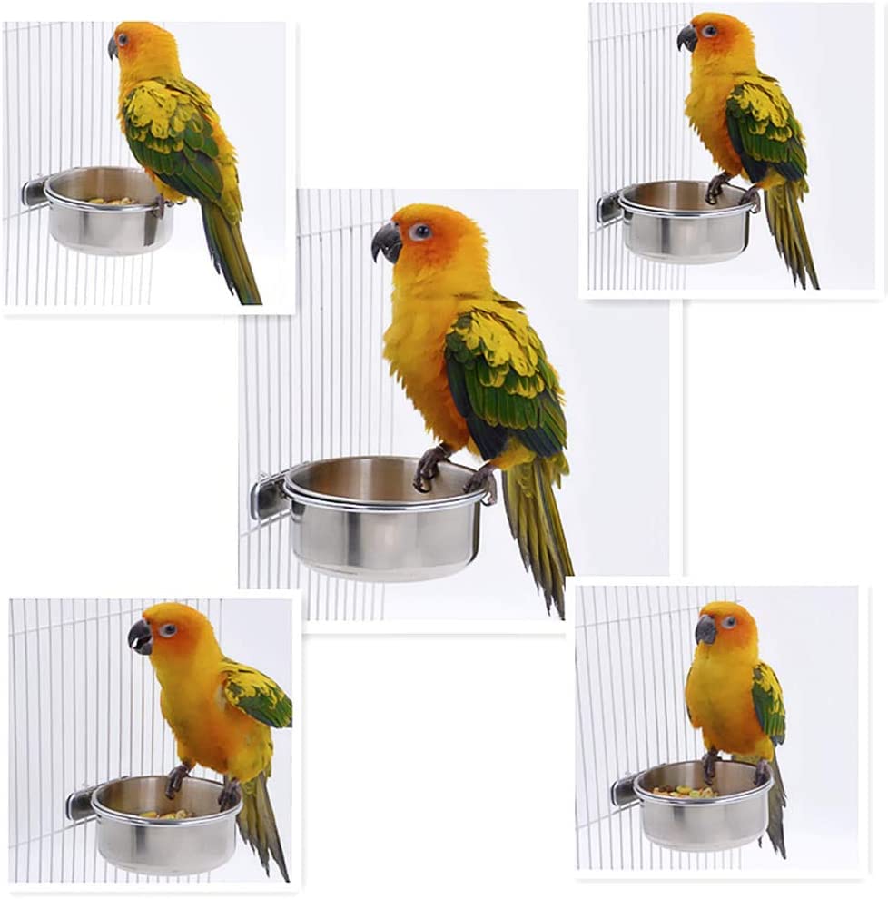 Bird Water Bowl Stainless Steel Bird Feeder for Cockatiel Conure Parakeet Chinchilla 10 Ounce