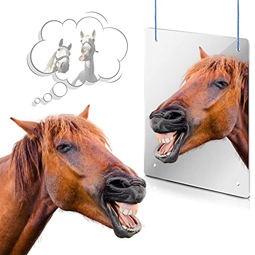 Sukh Horse Mirror Horse Stall Mirror - Safe Acrylic Mirrors Sheet Horse Toy Balls Non Glass Shatterproof Horse Toys for Stable Barn Stall Toy Entertainment(16.92 x 12.99 Inch)