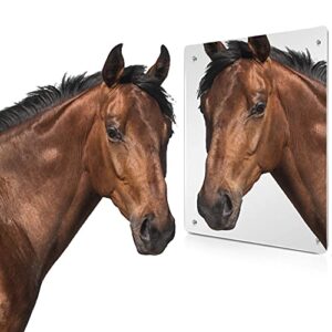 Sukh Horse Mirror Horse Stall Mirror - Safe Acrylic Mirrors Sheet Horse Toy Balls Non Glass Shatterproof Horse Toys for Stable Barn Stall Toy Entertainment(16.92 x 12.99 Inch)