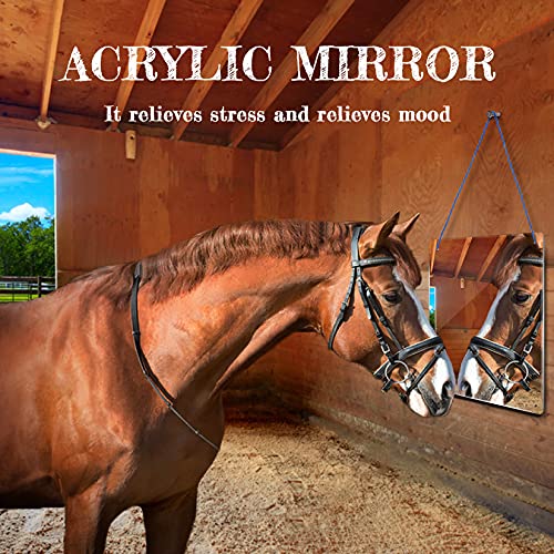 Sukh Horse Mirror Horse Stall Mirror - Safe Acrylic Mirrors Sheet Horse Toy Balls Non Glass Shatterproof Horse Toys for Stable Barn Stall Toy Entertainment(16.92 x 12.99 Inch)