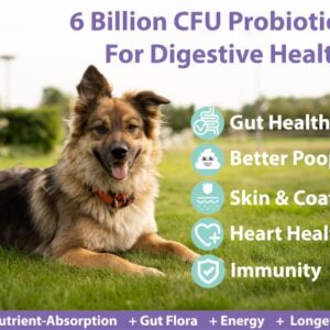 Googipet Probiotics for Dogs - Dog Probiotics and Digestive Enzymes - Natural Dog Probiotic Chews W/Prebiotics & Pumpkin, Helps Dog Diarrhea, Constipation, Digestion, Allergies & Immunity