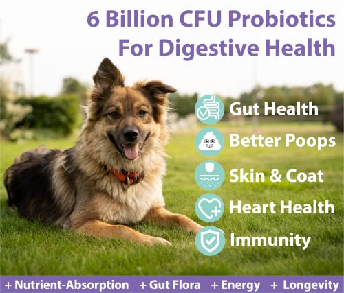 Googipet Probiotics for Dogs - Dog Probiotics and Digestive Enzymes - Natural Dog Probiotic Chews W/Prebiotics & Pumpkin, Helps Dog Diarrhea, Constipation, Digestion, Allergies & Immunity