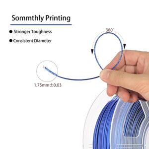 ECHEN PLA Filament 1.75mm, 3D Printer Filament Silk Black Purple Blue Filament, 3D Printing Filament 1kg/2.2lbs