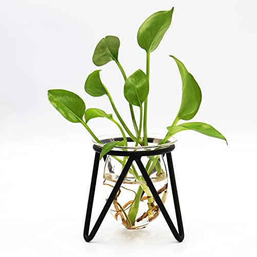 Plant Terrarium with Metal Stand, Desktop Air Planter Bulb Glass Vase for Indoor Live Hydroponics Plants Home Garden Office Decoration