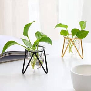 Plant Terrarium with Metal Stand, Desktop Air Planter Bulb Glass Vase for Indoor Live Hydroponics Plants Home Garden Office Decoration