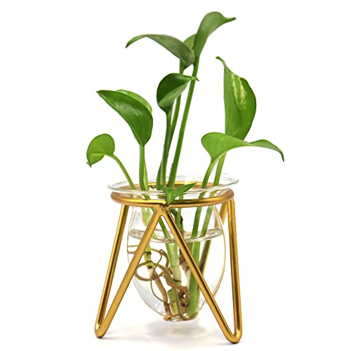 Plant Terrarium with Metal Stand, Desktop Air Planter Bulb Glass Vase for Indoor Live Hydroponics Plants Home Garden Office Decoration