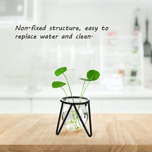 Plant Terrarium with Metal Stand, Desktop Air Planter Bulb Glass Vase for Indoor Live Hydroponics Plants Home Garden Office Decoration