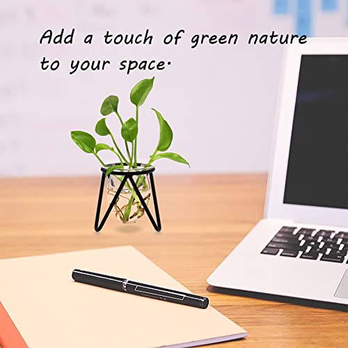 Plant Terrarium with Metal Stand, Desktop Air Planter Bulb Glass Vase for Indoor Live Hydroponics Plants Home Garden Office Decoration