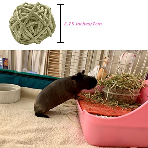 kathson Guinea Pig Litter Box,Bunny Potty Training,Plastic Square Small Animal Toilet,for Hamster Chinchilla Ferret Hedgehog Gerbil (Pink)