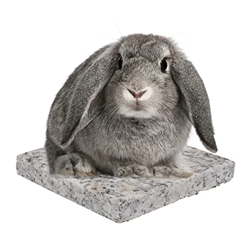 UKCOCO Rabbit Cooling Pad- Chinchilla Cooling Stone Hamster Summer Cooling Board, Marble Design Small Animals Self- Cooling Platform, Hamster Cooler for Home Outside 2Pcs