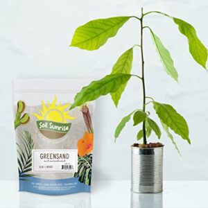 Greensand Soil Amendment (5 Pounds); Special Container Gardening Additive