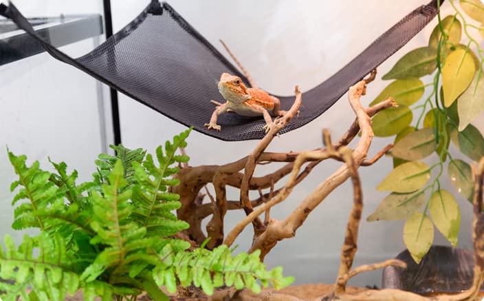 Magnoloran 4 Pack Bearded Dragon Lizard Hammock Reptile Swing Hanging Bed Lounger Breathable Mesh Hammock Habitat with Suction Cup Suitable for Iguanas, Anoles, Geckos, Snakes, Chameleon