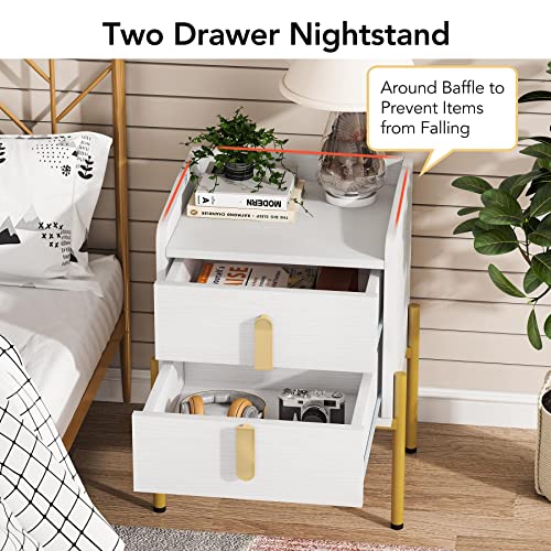 Tribesigns 2-Drawer Nightstands Set of 2, Modern White Gold Nightstand for Bedroom, Wooden Bed Side Table with Storage, Large Night Stand with Gold Metal Frame, Sofa Side Table for Living Room