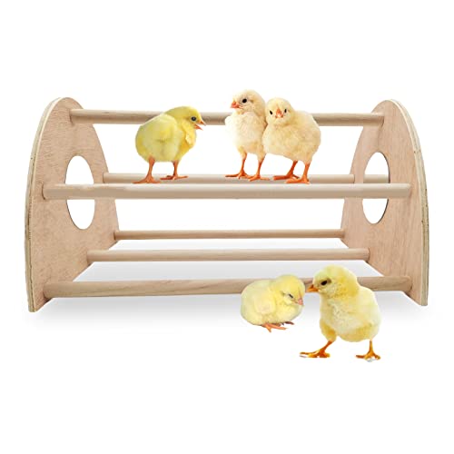 Hamiledyi Chick Perch, Chicken Wooden Strong Roosting Bar with Mirror, Training Sleeping Perch Standing for Coop and Brooder, Solid Ladder for Chick Hens Silkies Quail Chicken