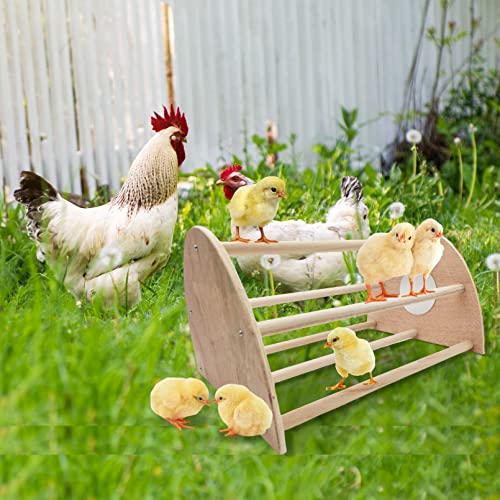 Hamiledyi Chick Perch, Chicken Wooden Strong Roosting Bar with Mirror, Training Sleeping Perch Standing for Coop and Brooder, Solid Ladder for Chick Hens Silkies Quail Chicken