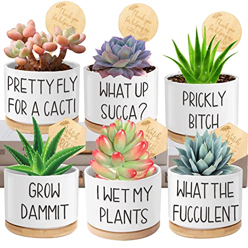 Succulent Pots 6 Pack, 3.15” Ceramic Funny Succulent Planters with Drainage and Bamboo Tray, Small Plant Pots with Plant Labels for Indoor Outdoor Plant, Birthday Gifts for Women - Plants Not Included