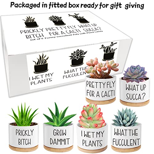 Succulent Pots 6 Pack, 3.15” Ceramic Funny Succulent Planters with Drainage and Bamboo Tray, Small Plant Pots with Plant Labels for Indoor Outdoor Plant, Birthday Gifts for Women - Plants Not Included