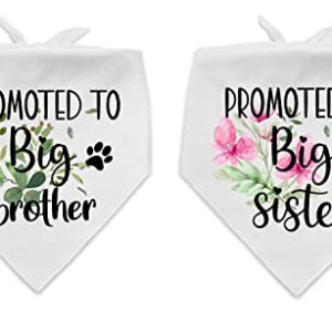 2 Pack Promoted to Big Brother Sister, White Flower Pattern Cotton Pet Dog Bandana, Pet Dog Pregnancy Announcement Gender Reveal Photo Prop for Dog Lovers Owner Gifts