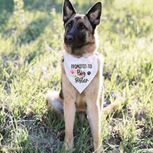 2 Pack Promoted to Big Brother Sister, White Flower Pattern Cotton Pet Dog Bandana, Pet Dog Pregnancy Announcement Gender Reveal Photo Prop for Dog Lovers Owner Gifts