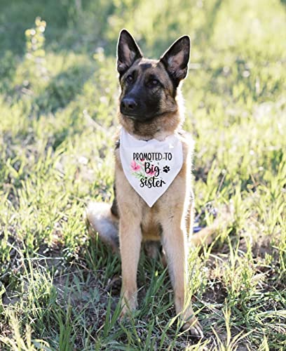 2 Pack Promoted to Big Brother Sister, White Flower Pattern Cotton Pet Dog Bandana, Pet Dog Pregnancy Announcement Gender Reveal Photo Prop for Dog Lovers Owner Gifts