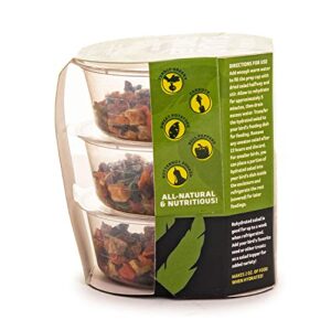 Fluker's Salad Singles All Natural Veggie Bird Mix - Just Add Water, Each Pack Makes 2oz of Food, Great for Parakeets, Cockatiels, Conures, and Parrots, 3 Pack 0.65oz