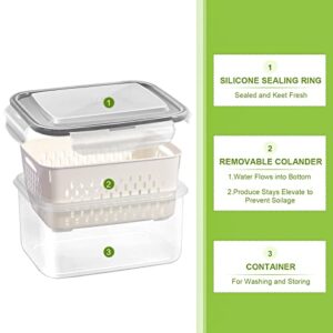 Fruit Grape Storage Containers for Fridge 3 Pack - Produce Fruit Fresh Saver Containers with Lids, Drain Baskets and 20 PCS Reusable Food Storage Bags, Bins BPA-Free for Veggie Berry Salad Lettuce