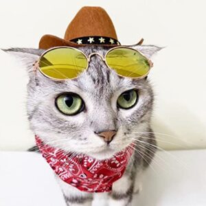 GallaRato Cowboy Costume for Pet Cowboy Bandanna Cowboy Hat for Pet Cowgirl Bandanna Sunglasses Hiphop Costume for Pet Hippie Costume