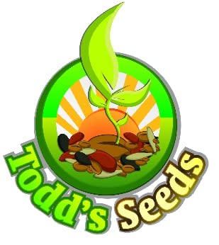 Todd's Seeds Wheatgrass Seeds; Hard Red Winter Wheat, Non-GMO, Chemical Free, High Germination (1/4 Pound)