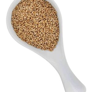 Todd's Seeds Wheatgrass Seeds; Hard Red Winter Wheat, Non-GMO, Chemical Free, High Germination (1/4 Pound)