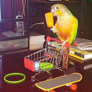 ActionEliters Bird Toys for Parakeets, 6pcs Parrot Toys Set with Bird Basketball Toy, Bird Skateboard, Bird Trolley, Bird Ring Bucket Toys, Parakeet Toys for Bird Training Toys