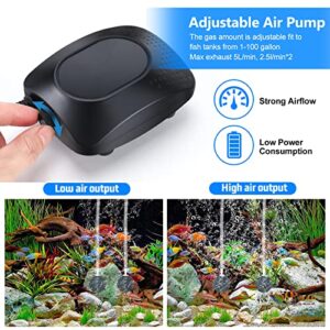 CWKJ Aquarium Air Pump Dual Outlets, Adjustable Quiet Oxygen Aerator Pump, Fish Tank Bubbler with Accessories Kit for Fish Tank up to 100 Gallons