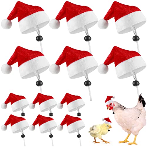 12 Pcs Chicken Christmas Hats for Hens Mini Chicken Santa Claus Hat with Adjustable Chin Strap Small Animals Santa Hat for Hens Chicken Rooster Goose Duck Parrot Christmas Holiday