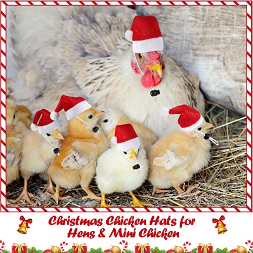 12 Pcs Chicken Christmas Hats for Hens Mini Chicken Santa Claus Hat with Adjustable Chin Strap Small Animals Santa Hat for Hens Chicken Rooster Goose Duck Parrot Christmas Holiday