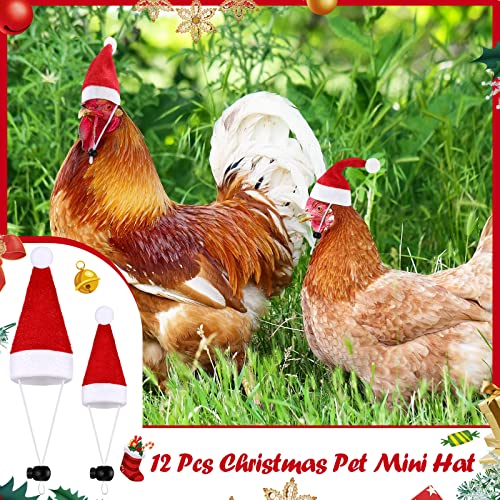 12 Pcs Chicken Christmas Hats for Hens Mini Chicken Santa Claus Hat with Adjustable Chin Strap Small Animals Santa Hat for Hens Chicken Rooster Goose Duck Parrot Christmas Holiday