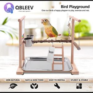 Bird Playground Parrot Play Stand, Bird Play Pen Gym for Parakeets Cockatiels Conures Budgies, Natural Wood Bird Playstand with Perches Feeder Cups Tray Swing Ladder Bells Mirror Toys