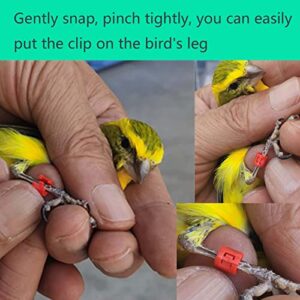 SRRPSPIGEON Bird Leg Ring 60pc 6 Color Clip Ring 3mm 4.5mm 4mm 5mm Parrot Canary Aviary Leg Band Foot Ring Open Clip Ring (5mm)