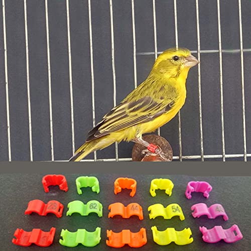 SRRPSPIGEON Bird Leg Ring 60pc 6 Color Clip Ring 3mm 4.5mm 4mm 5mm Parrot Canary Aviary Leg Band Foot Ring Open Clip Ring (5mm)