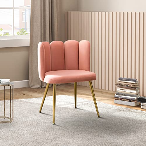 HULALA HOME Velvet Accent Chairs Modern Vanity Chairs for Makeup Room, Comfy Upholstered Dining Chairs for Living Room with Shell Back and Golden Metal Legs/Pink